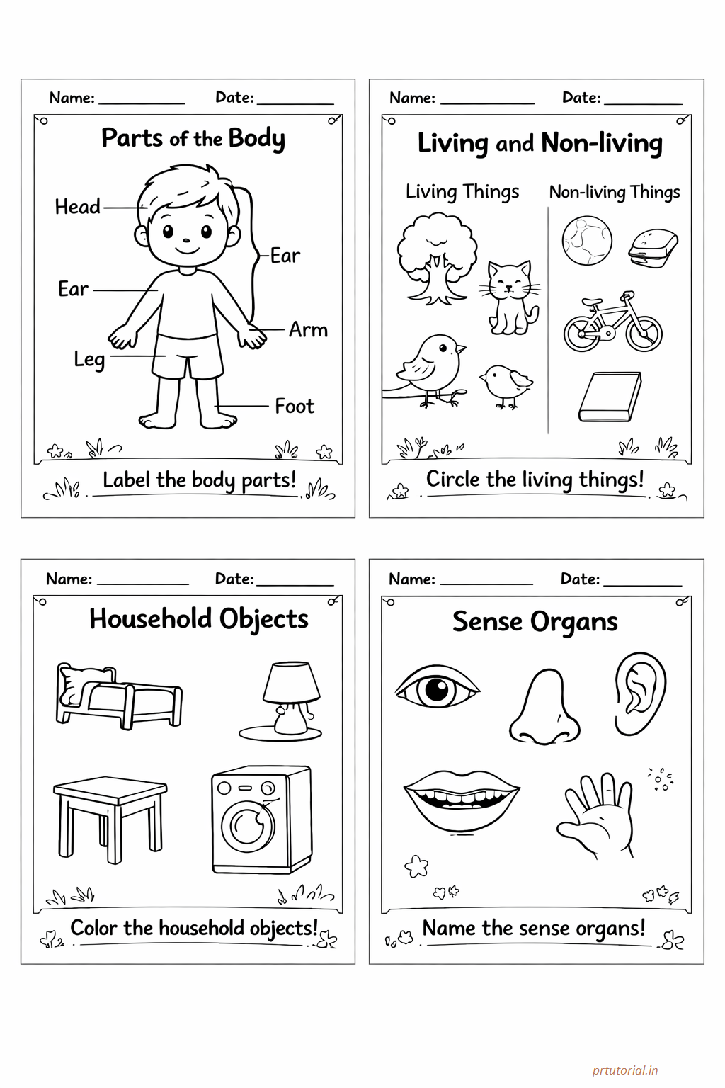 LKG EVS Worksheet: Fun Learning Activities for Little Explorers