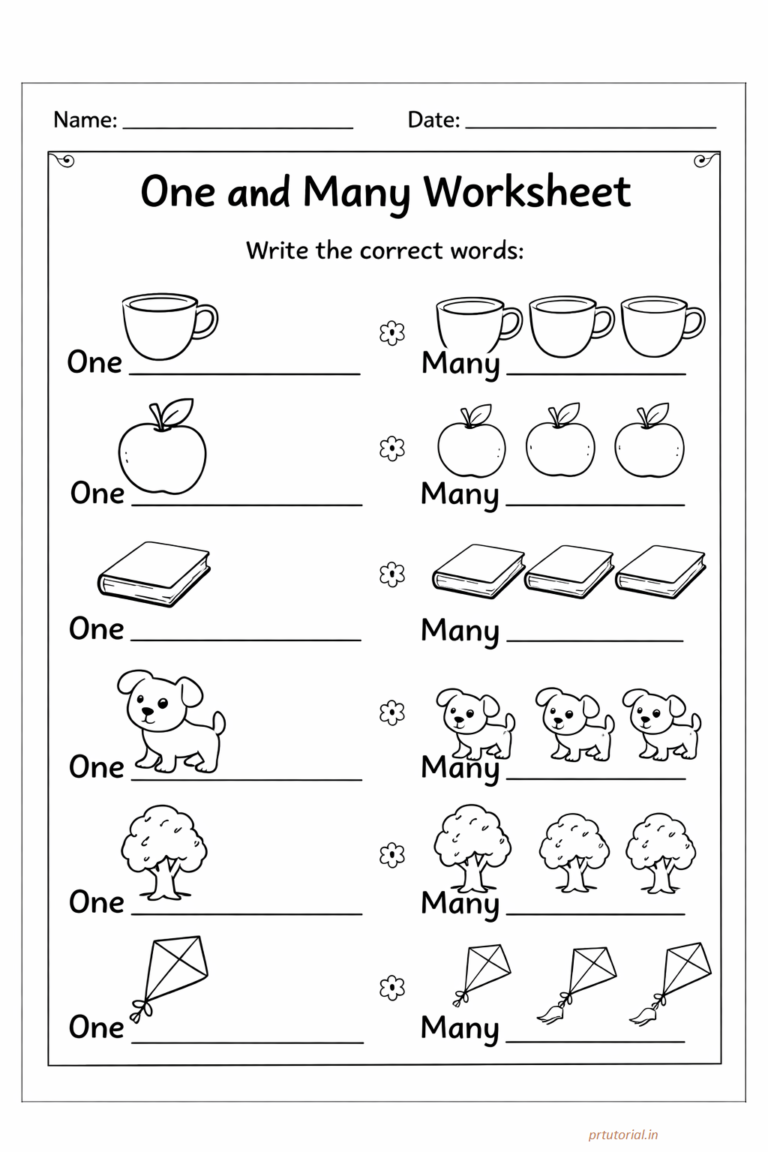 One-Many Worksheet: Fun and Easy Practice for Kids